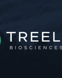Rigel Pharmaceuticals (RIGL) is Quietly Building a Biotech Empire ...
