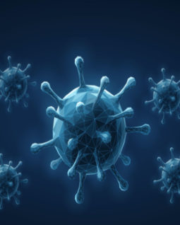 Werewolf Therapeutics (HOWL) Can Be the Next Biotech Moonshot • BioTech ...