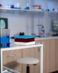 CeriBell (CBLL) is a Smart MedTech Play in 2025 • BioTech Health X