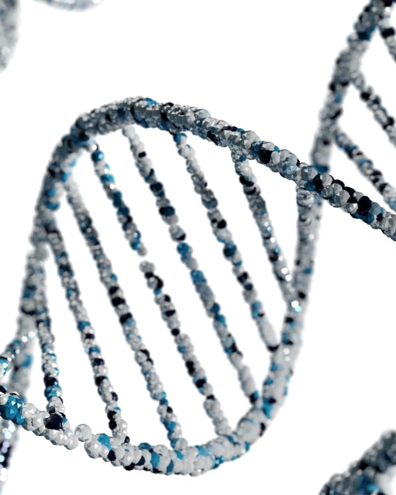 Corvus Pharmaceuticals (CRVS): The Quiet Cancer Bet Wall Street Isn’t ...