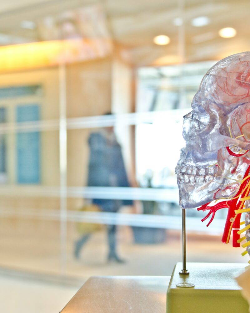 Top 5 Best Biotech Micro-Caps With Major Clinical Catalysts in 2026 ...