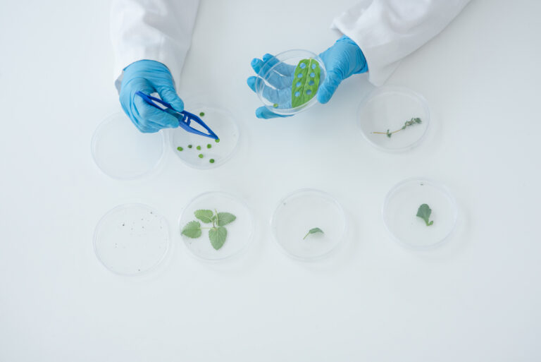 Generation Bio (GBIO) Has $185M in Cash—Here’s Why That Matters ...