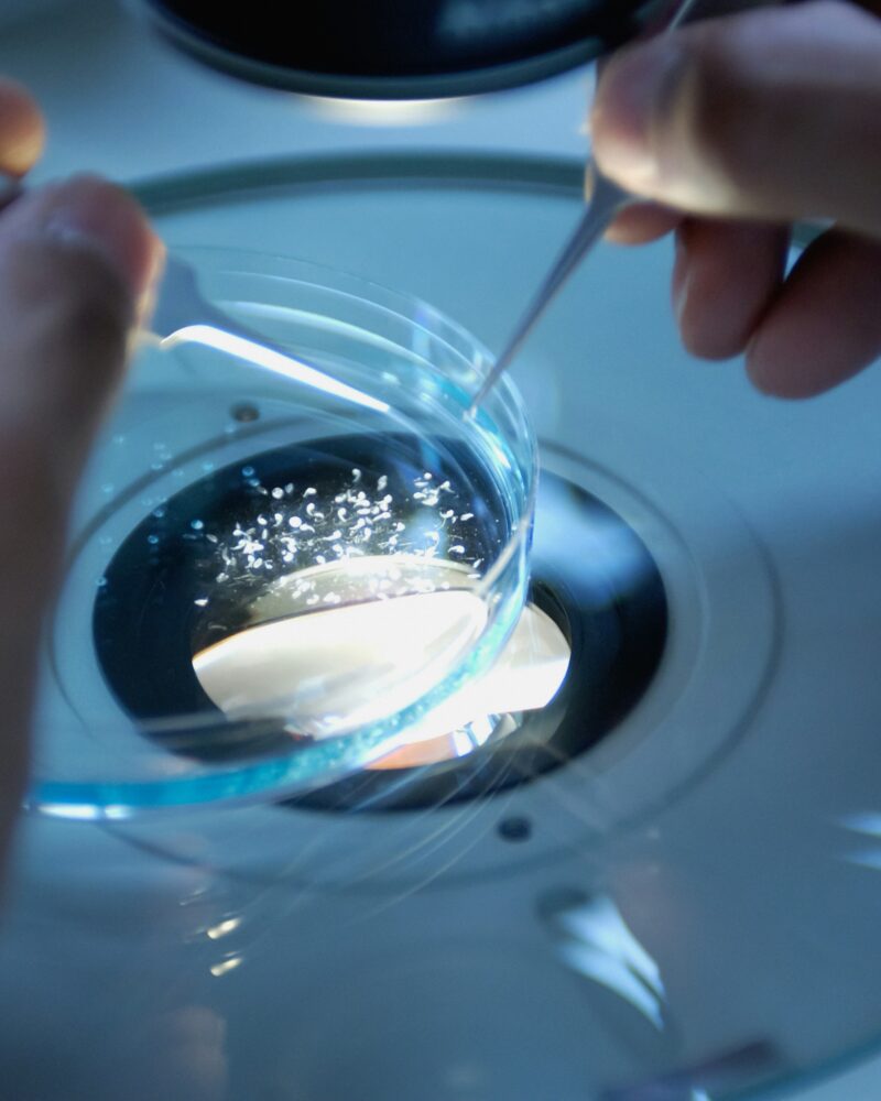 Rigel Pharmaceuticals (RIGL) is Quietly Building a Biotech Empire ...