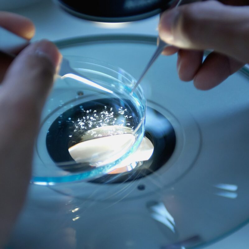 Nutex Health (NUTX) Could Crash If Compliance Plan Fails • BioTech Health X