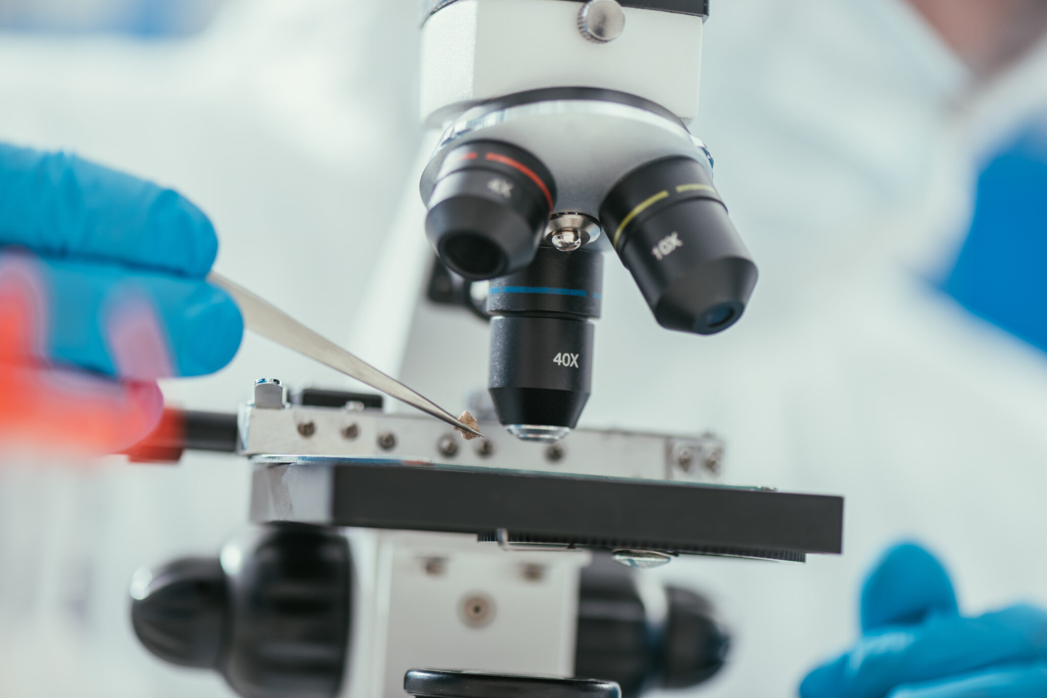 Avalo Therapeutics (AVTX) Surges 45% in 6 Months • BioTech Health X