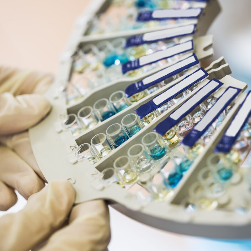 What is Biotechnology: Types, Examples and Applications • BioTech Health X