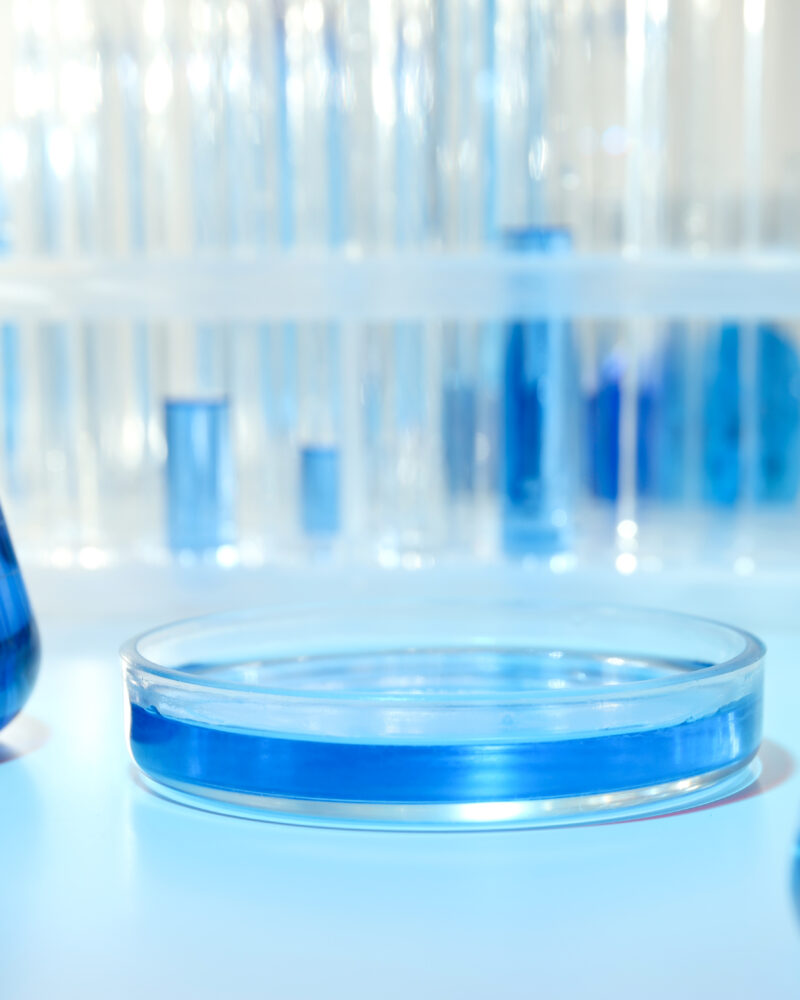 Top 10 Best Biotech Penny Stocks to Buy This June • BioTech Health X