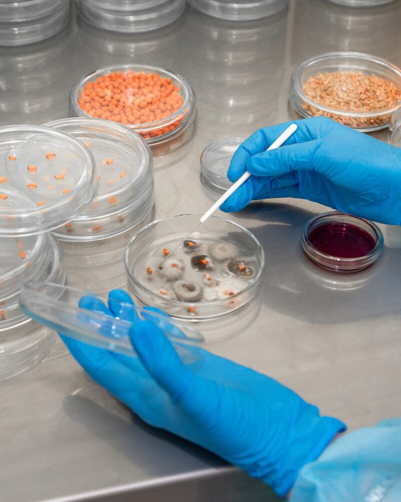 4D Molecular Therapeutics (FDMT) Could Be the Next $5 Billion Gene ...