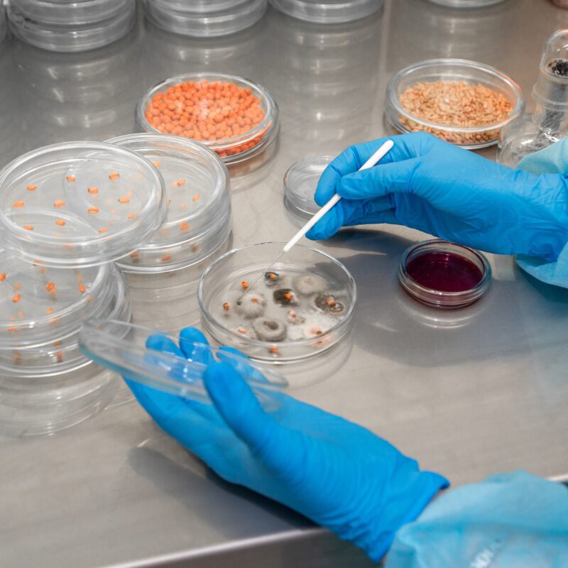 Precigen (PGEN) Makes History: FDA Approves First-Ever Therapy ...