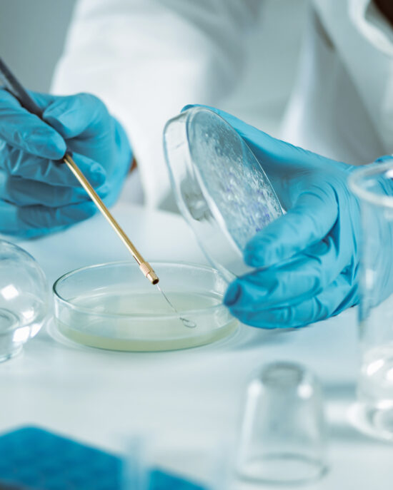 What is Biotechnology: Types, Examples and Applications • BioTech Health X