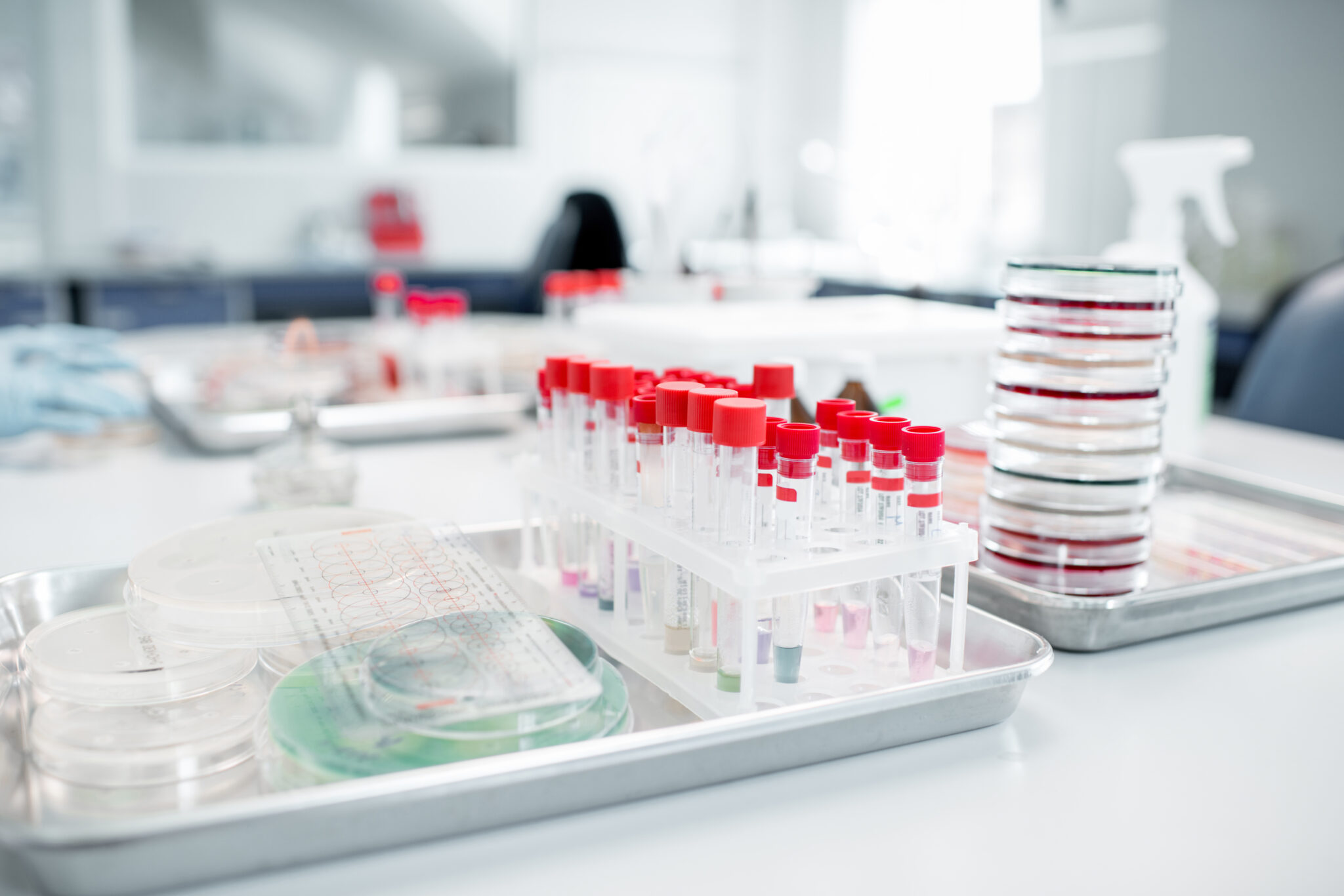 Is Fulcrum Therapeutics (FULC) the Next Rare-Disease Winner? New Data ...